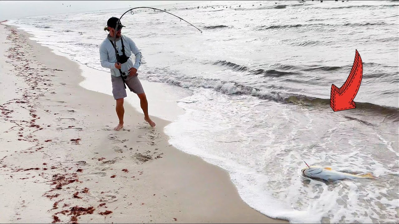 This Is the CRAZIEST One I've Ever Seen! - YouTube