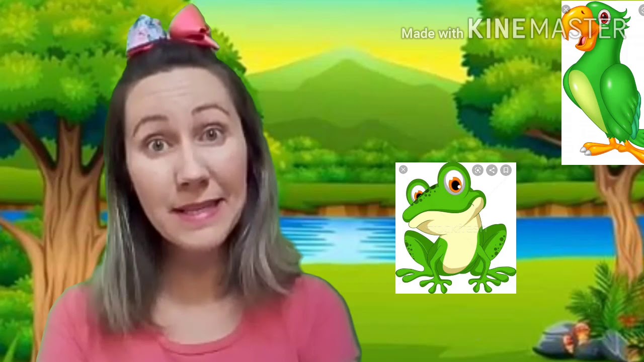ONDE ESTÁ O RABO DO SAPO? História Infantil - YouTube