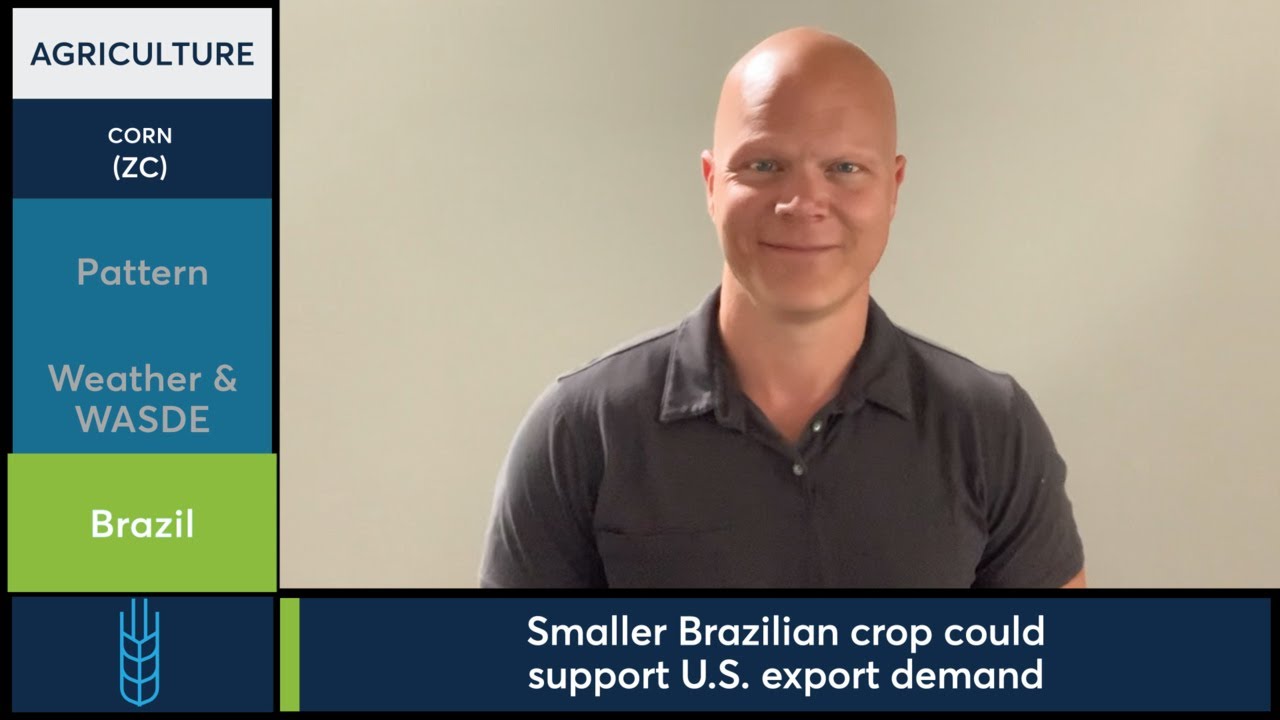 August 6 Grains Commentary: Ted Seifried - YouTube