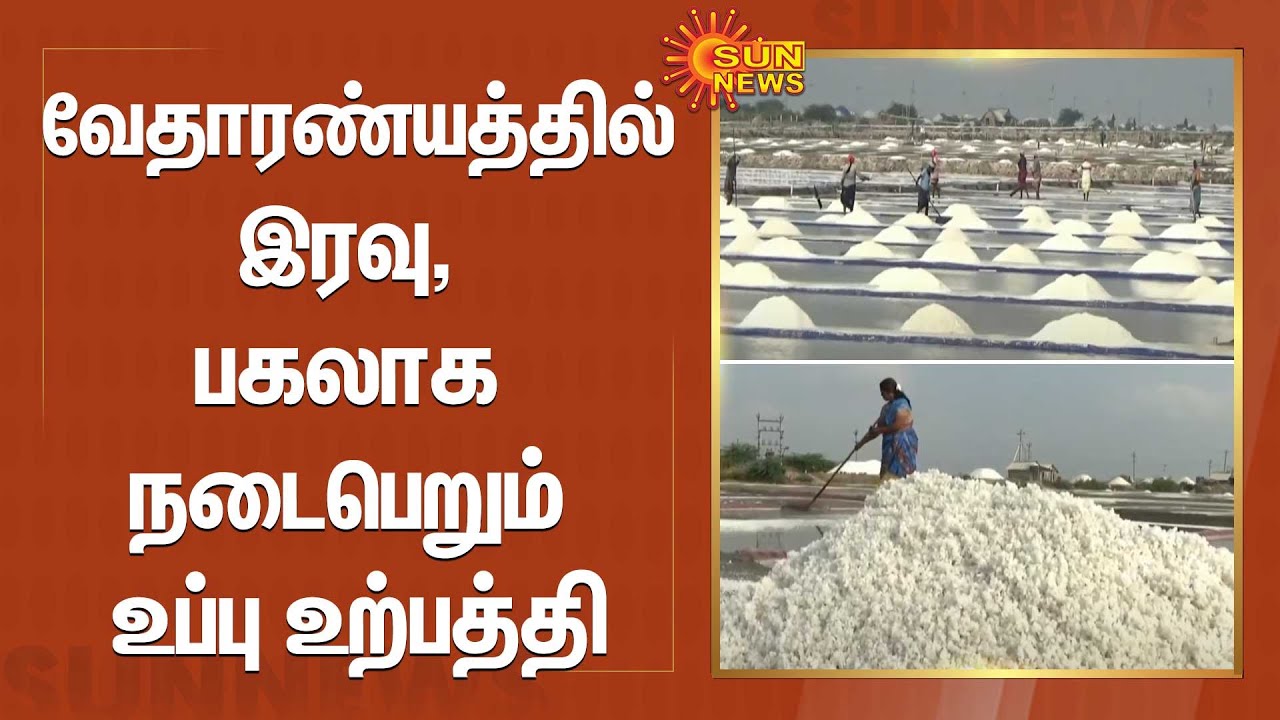 Vedaranyam | வேதாரண்யத்தில் இரவு , பகலாக நடைபெறும் உப்பு உற்பத்தி ...
