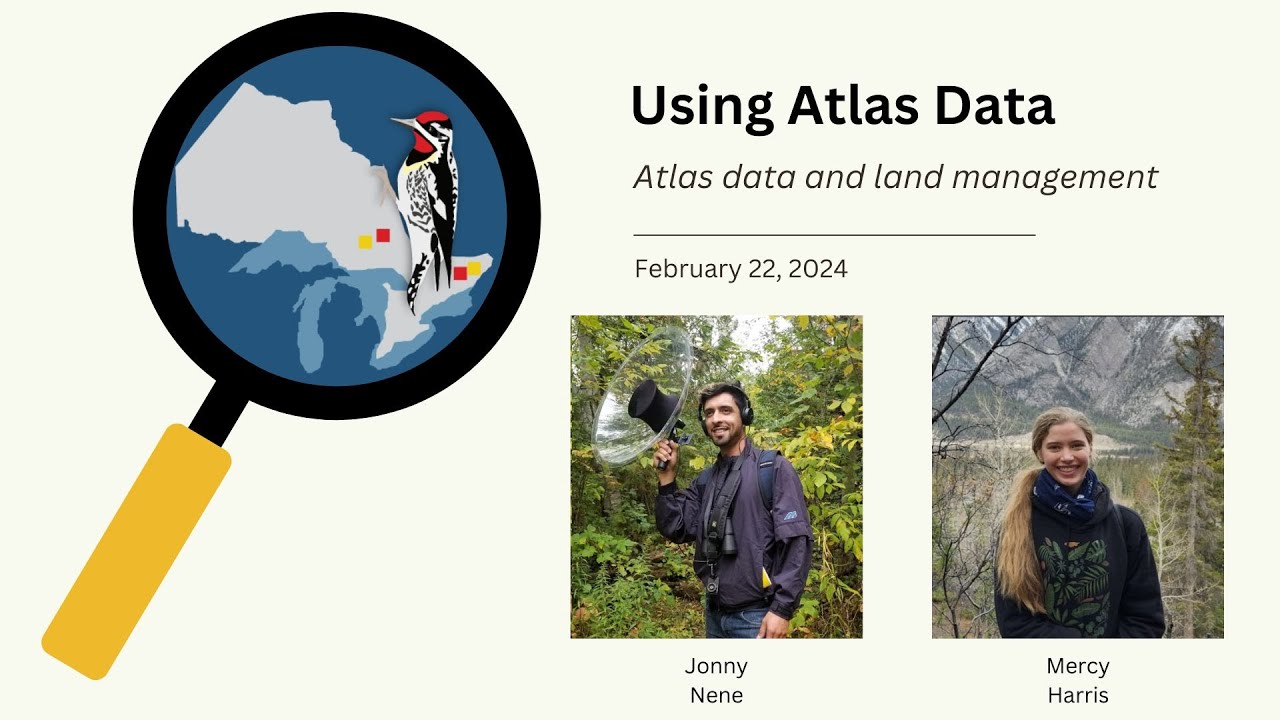 Sappy Hour - Using Atlas data; land management (2024-02-22) - YouTube