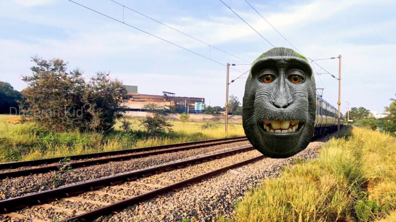 Funny Baboon Gorilla Train | Dheeran Kid | Funny Train Videos ...