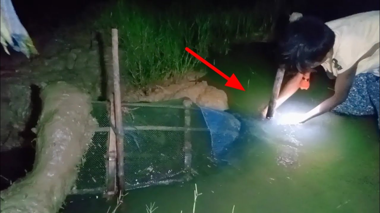 Winter Season Trap Making Fish Catch By River//Trap Making Fish Catch ...