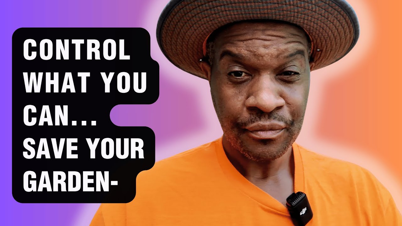 Weeding, Edging & Mulching | Simple Garden Bed Fix for Beginners - YouTube