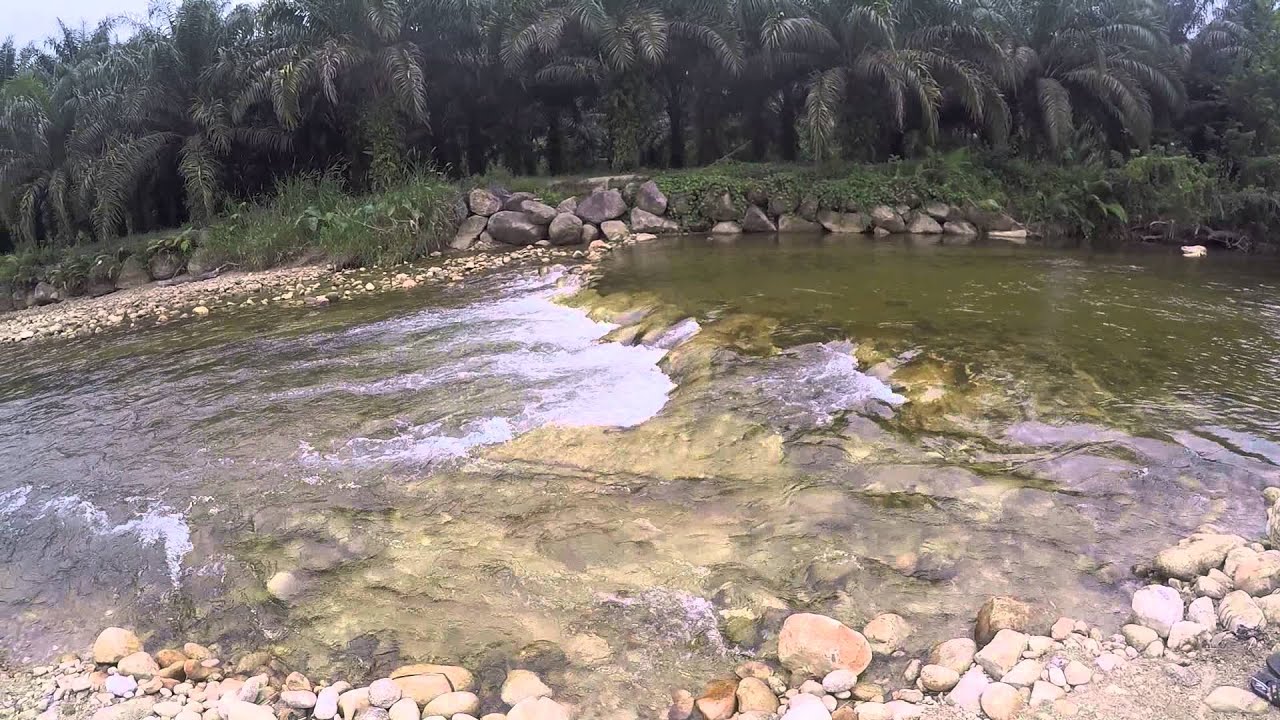 Sahom Valley Perak - Tepian Sungai - YouTube