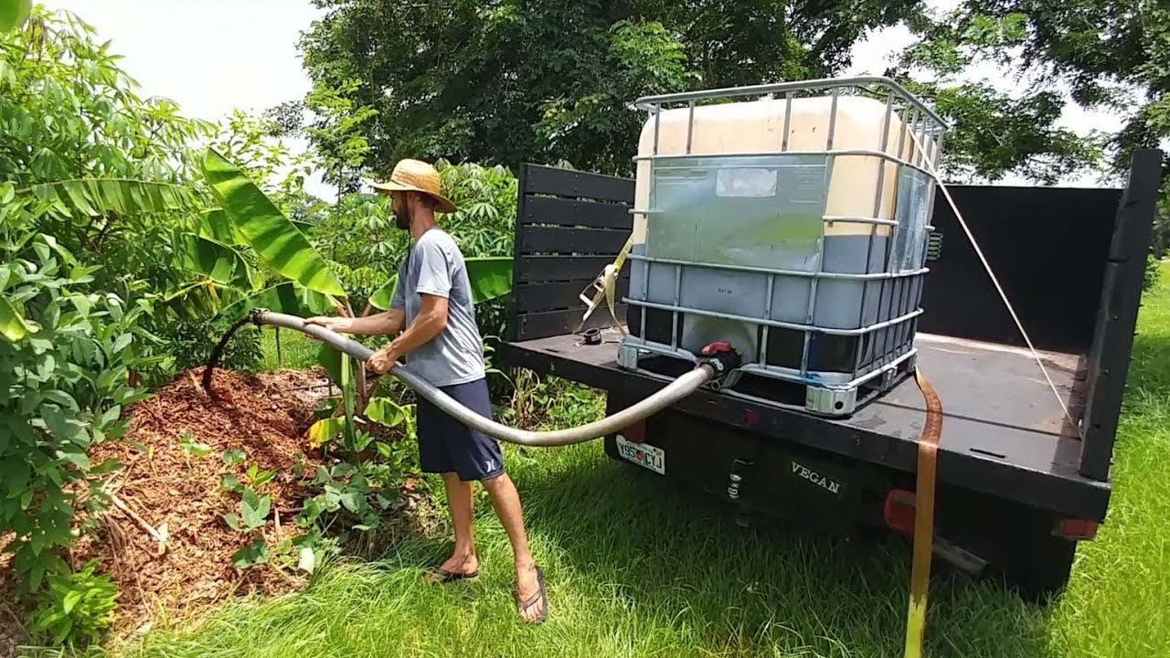 HAWAIIAN STYLE COMPOSTING (part 2): supercharging the soil life - YouTube