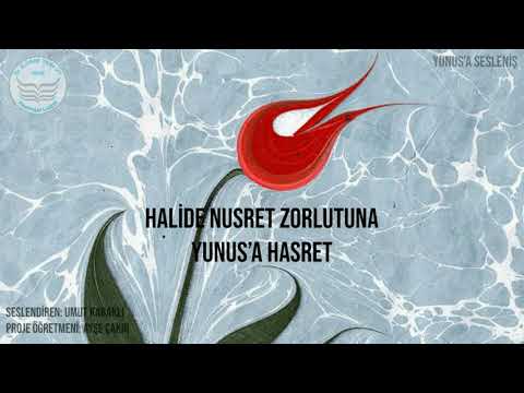 Halide Nusret Zorlutuna - Yunus'a Hasret | Seslendiren: Umut Kabaklı ''Yunus'a Sesleniş'' Projesi