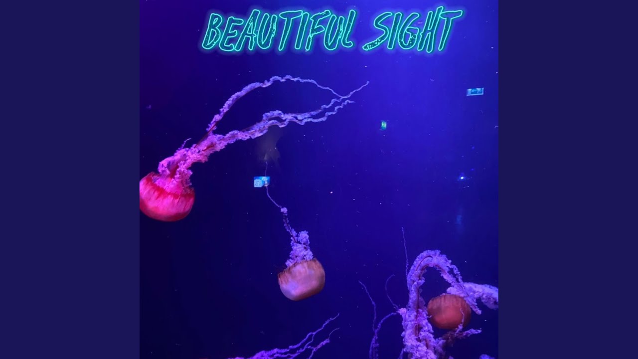 Beautiful Sight - YouTube