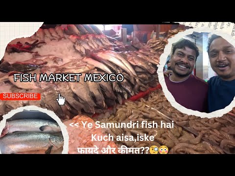 Samundri fish 🐟 hai kuch aisa..hosh uda dege iske फायदे और कीमत🧐😳 # ...