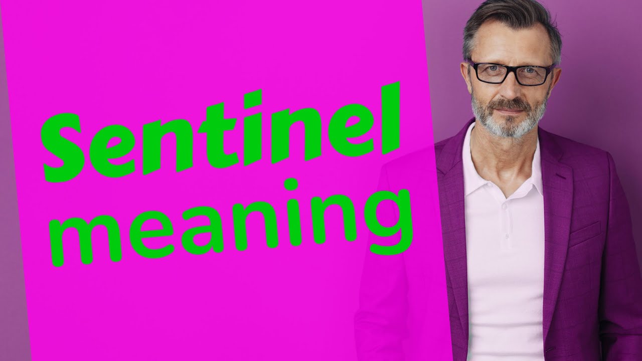 Sentinel Meaning Of Sentinel YouTube