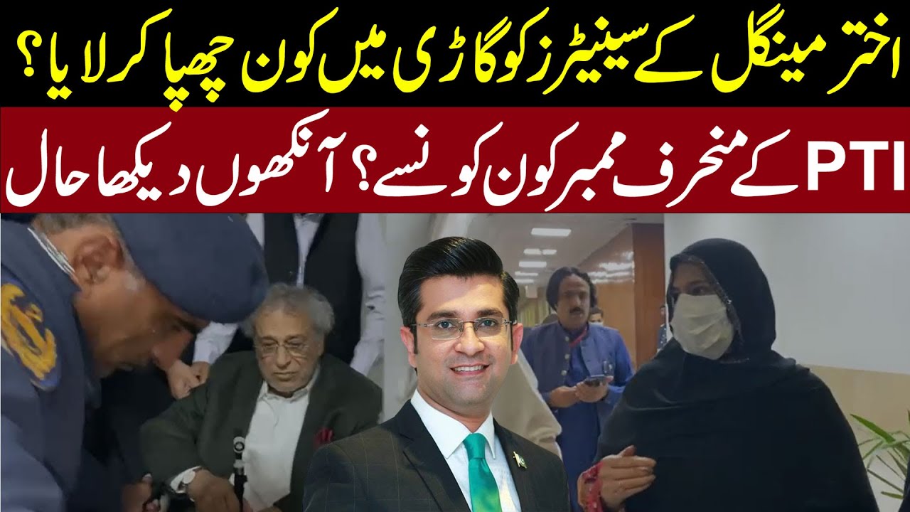 Exclusive! Who Brings BNP Senators In Senate | PTI Members Reveal l ...