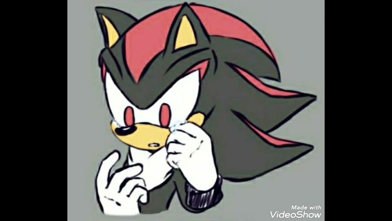 Shadow The Hedgehog Crying
