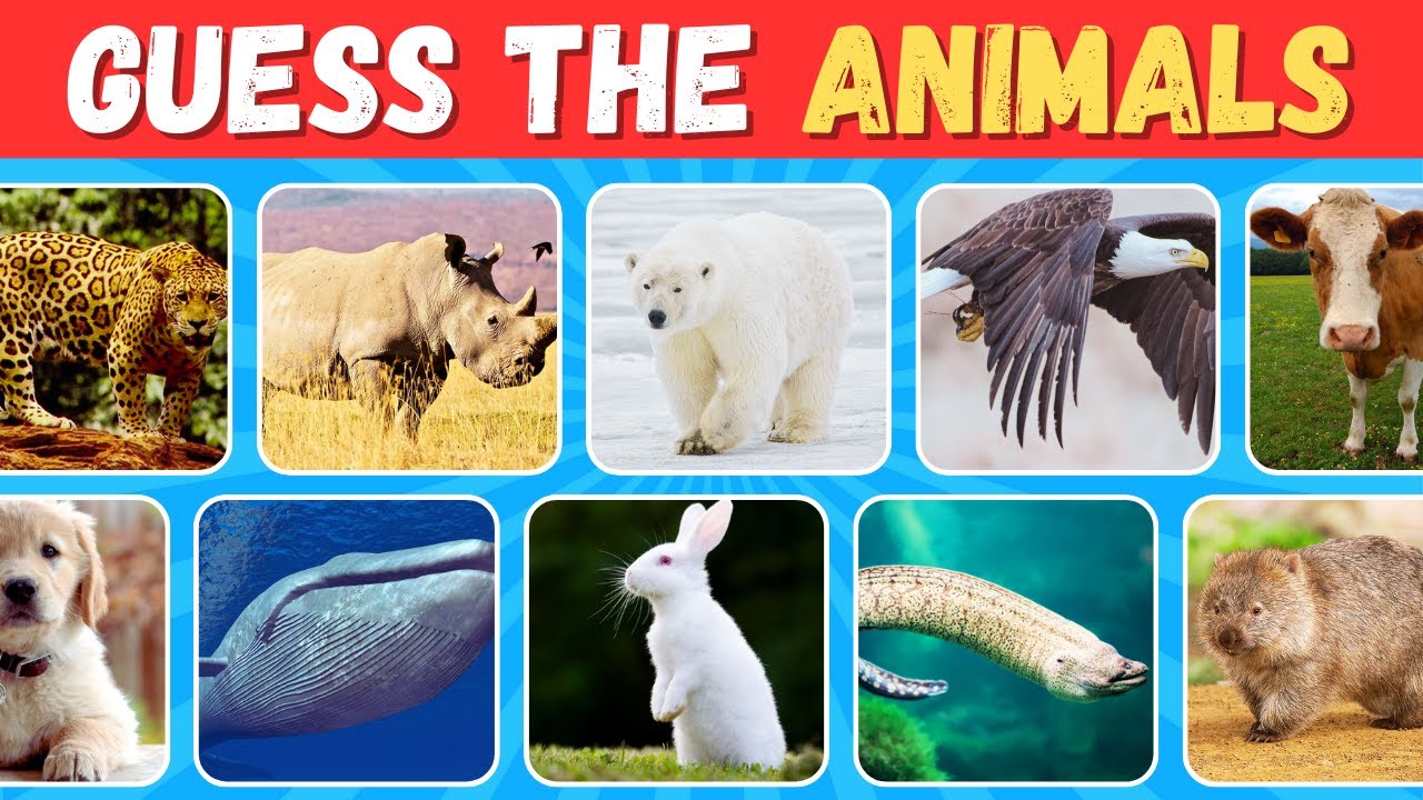 Guess the Animals Challenge Part 1 😺🐶| 30 Animals | Easy, Medium & Difficult | Animals Quiz ...