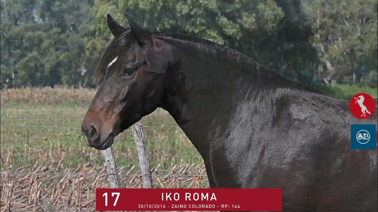 17 IKO ROMA - YouTube