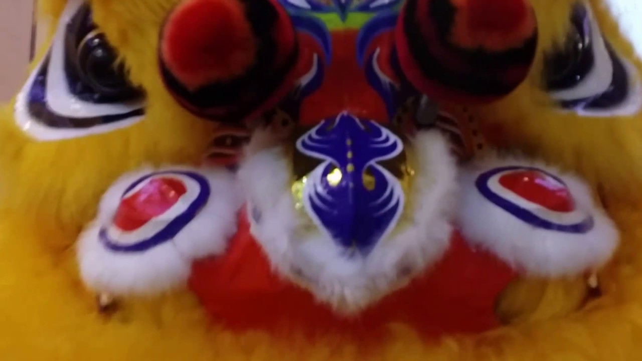 Mega-Lion dance - YouTube
