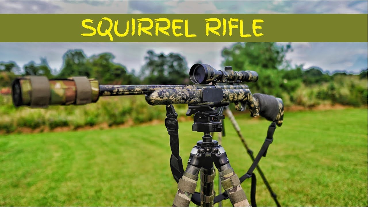 22 Rifle Shooting at 100 Yards and Sighting in for Squirrel Hunting ...