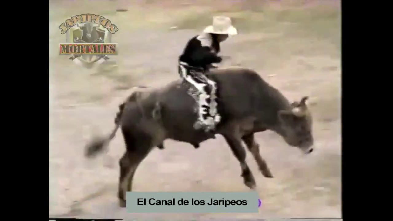 UN TORO PELIGROSO!!! con cancion de Tamborazos Zacatecanos (El Baleado ...