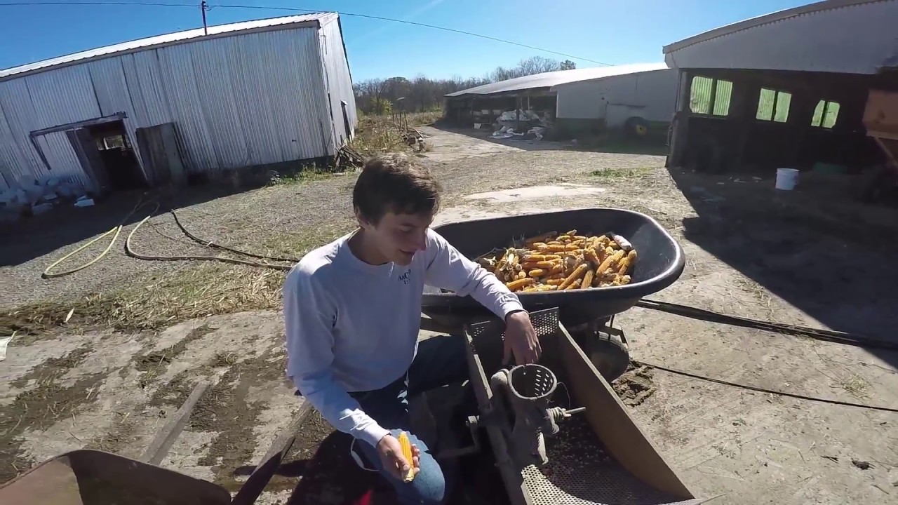 Shelling Popcorn - YouTube