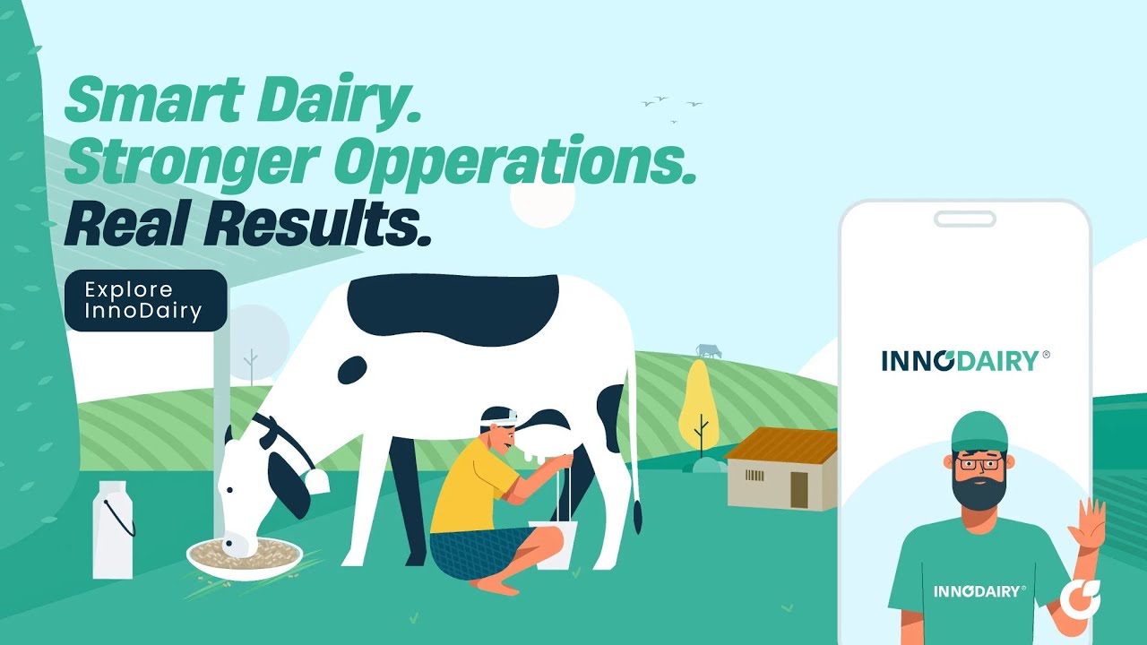 InnoDairy – A Smart Tech for Smarter Dairy Operations - YouTube