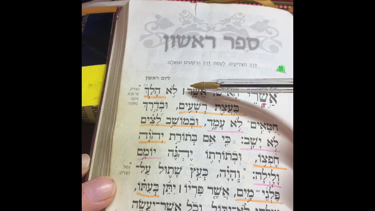 Aprende, A Leer Tehilim con taamim minhag Halab ' , טעמימ לתהלימ curso ...