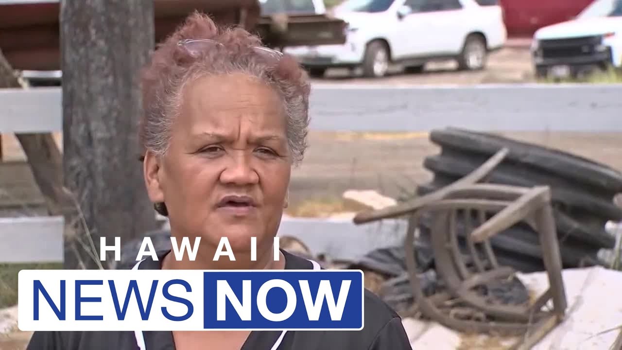 Twinkle Borge, community advocate who ‘embodied genuine aloha,’ has ...