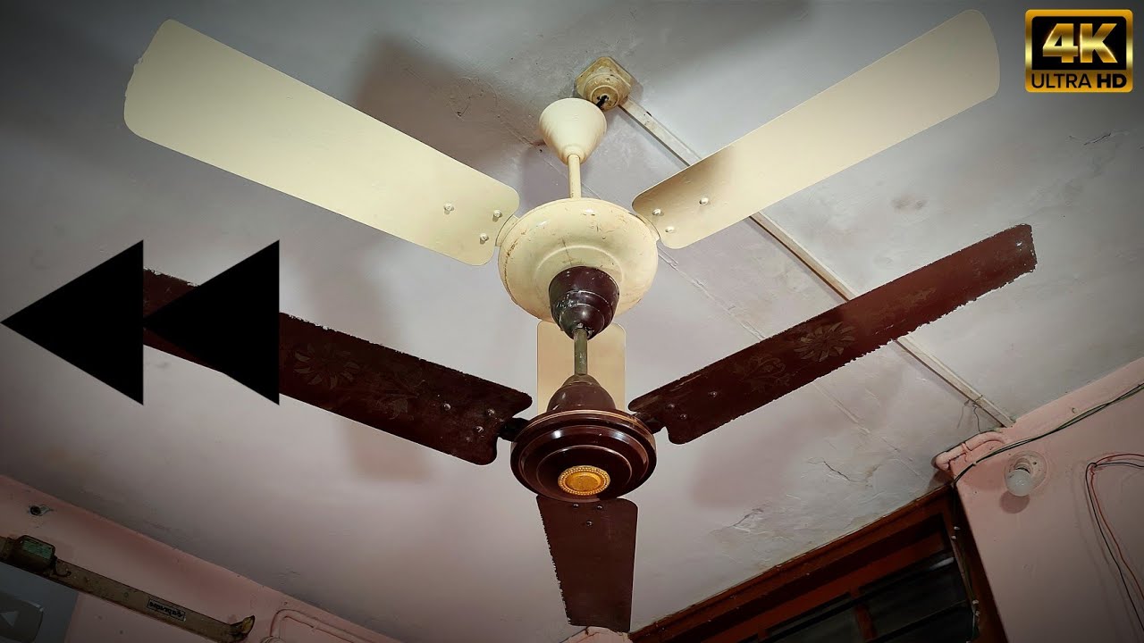 Two Ceiling Fan Tougherly Falling in 🔙 Backward - YouTube