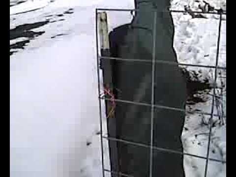 December 10, 2007 I (10) - YouTube