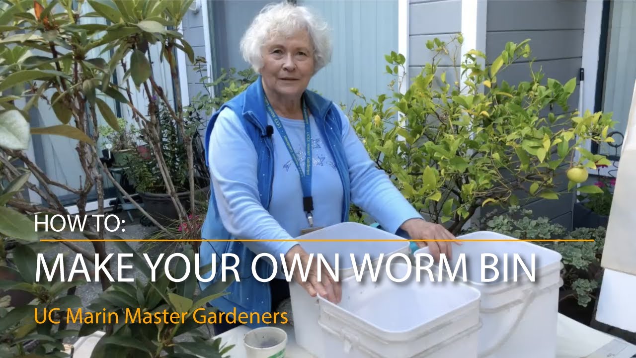How to Make a Worm Bin - YouTube