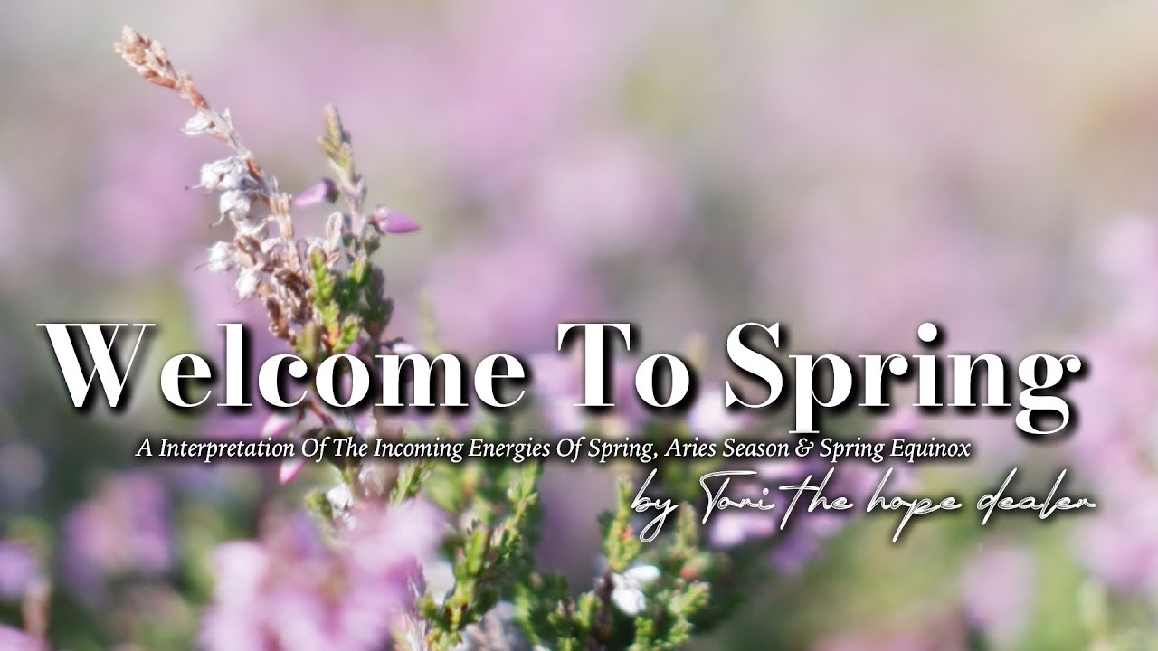Your Guide To Spring & Aries Season Energy Reading - YouTube