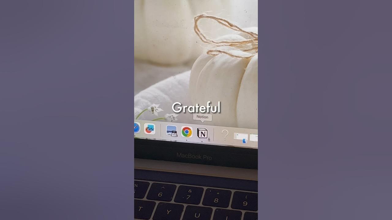 Practice Gratitude With Notion 🙏 Notion Notiontemplate Notiontips Youtube 8974