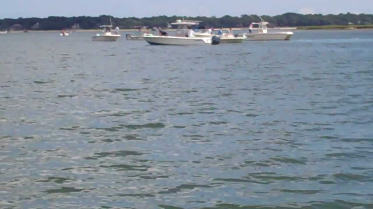 Shrimping on the May River, Bluffton, SC - YouTube
