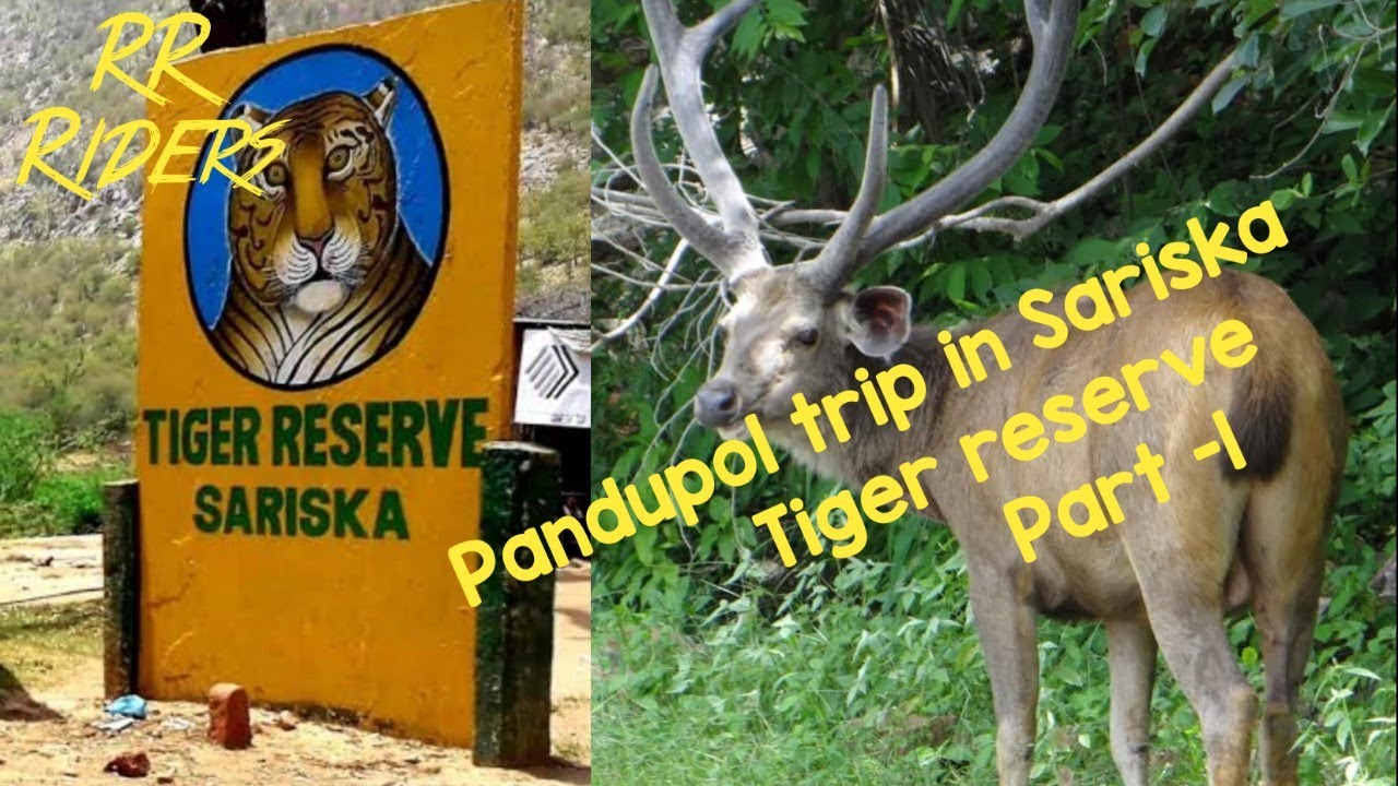 Sariska Pandupol | Pandupol temple Sariska - YouTube