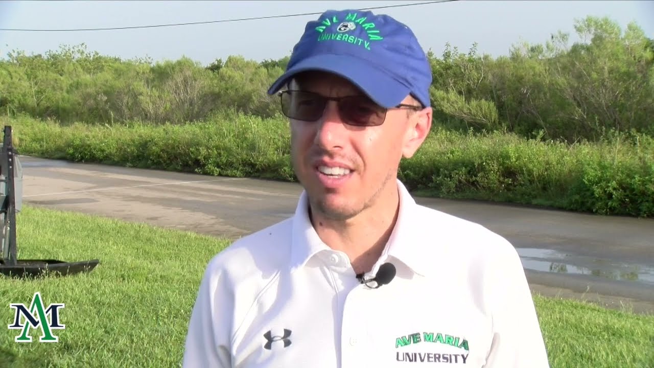 Alan Webb starts coaching career at Ave Maria University - YouTube