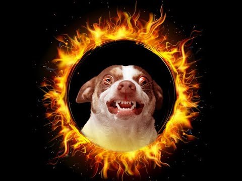 MR.BUBZ FUNNY COMPILATION - YouTube