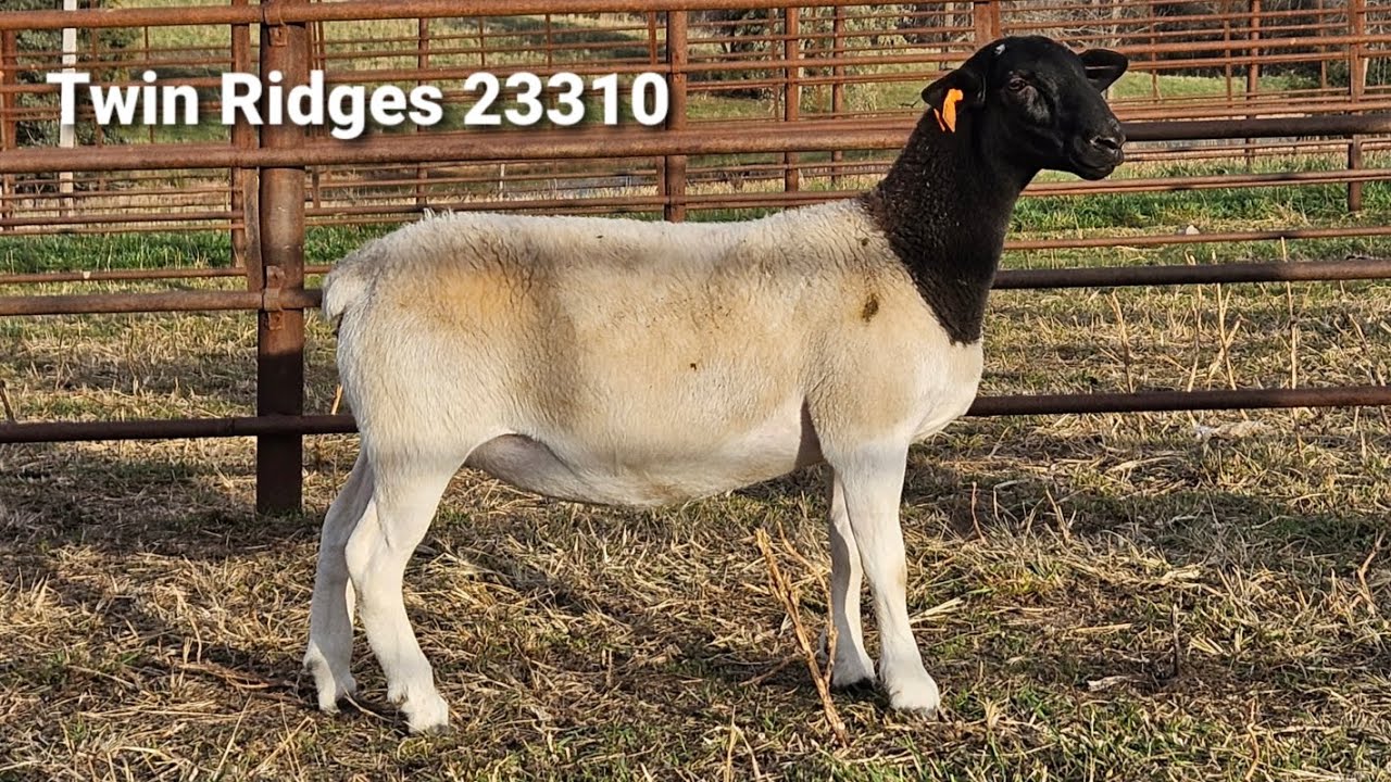 Twin Ridges 23310 - YouTube