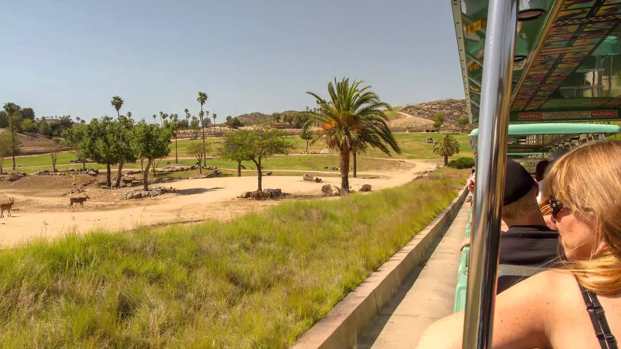 San Diego Safari Park Africa Tram - YouTube