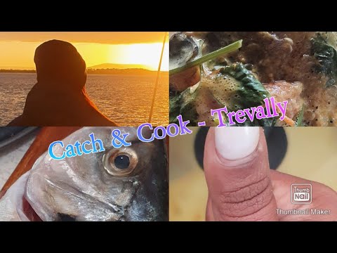 Fishing Fun - Cooking Trevally in Coconut (so many ways to cook this ...