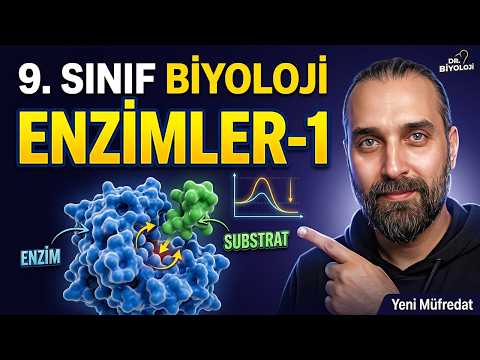 25. Ders: Enzimler | Dr. Biyoloji 9. Sınıf Yeni Müfredat