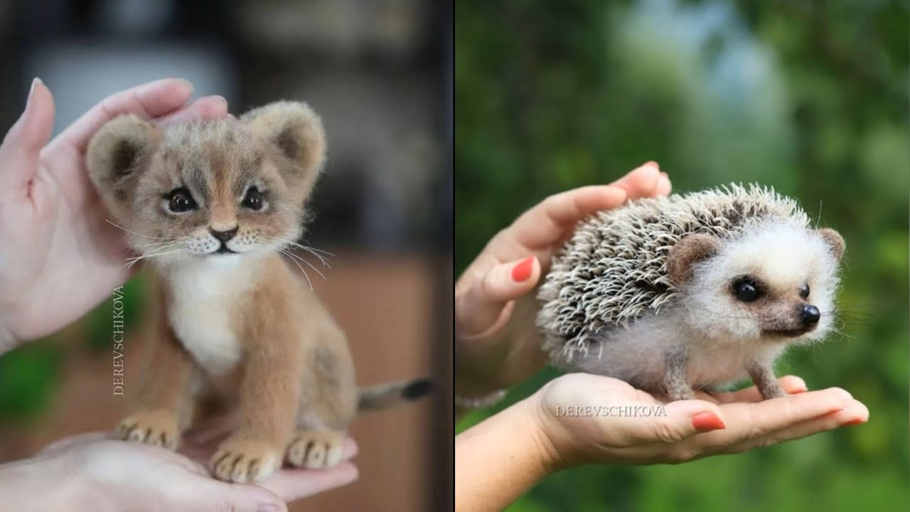 Cute baby animals videos compilation| cutest babies part 2 - YouTube