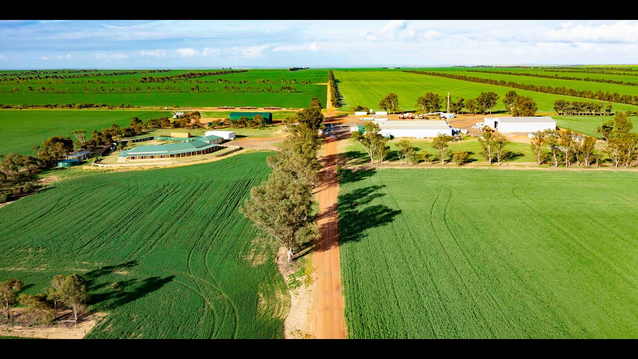 One of the best laid out farms that I have seen. - YouTube