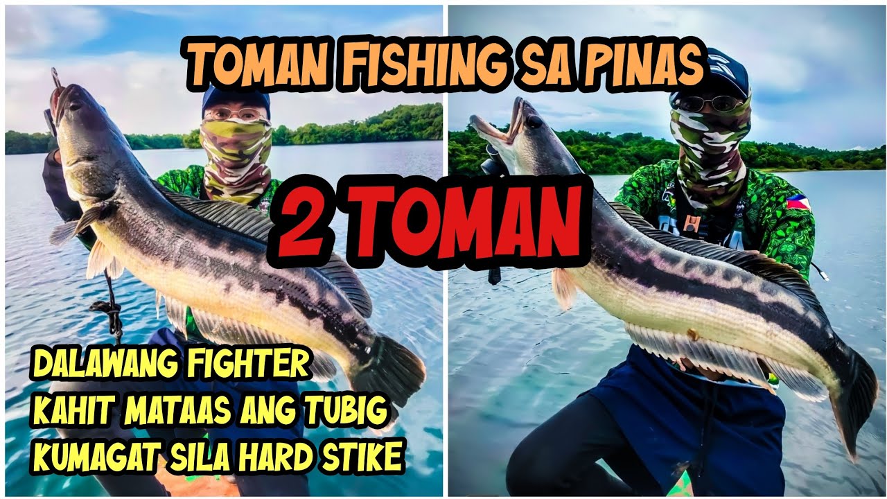 Toman Fishing sa Pinas caught 2 Toman this day. #214 - YouTube