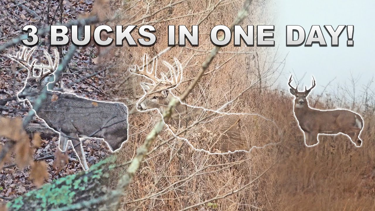 THREE BIG BUCKS IN ONE DAY! Crazy Rut Action in the RAIN! - YouTube