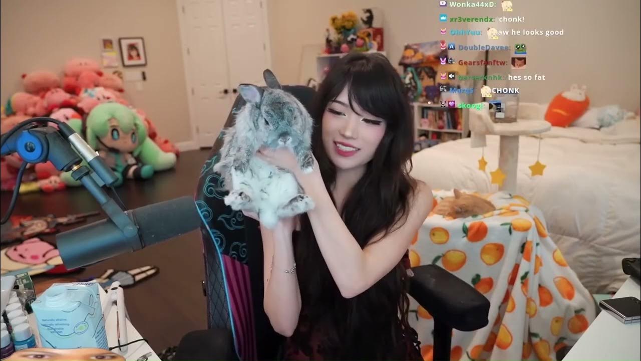 Emiru Shows Her Bunny ! - YouTube