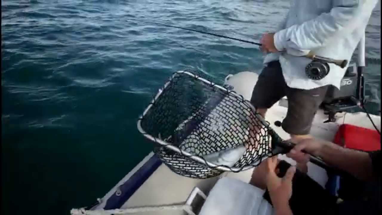 Saltwater Flyfishing in NZ ft. JP Samuelson - YouTube