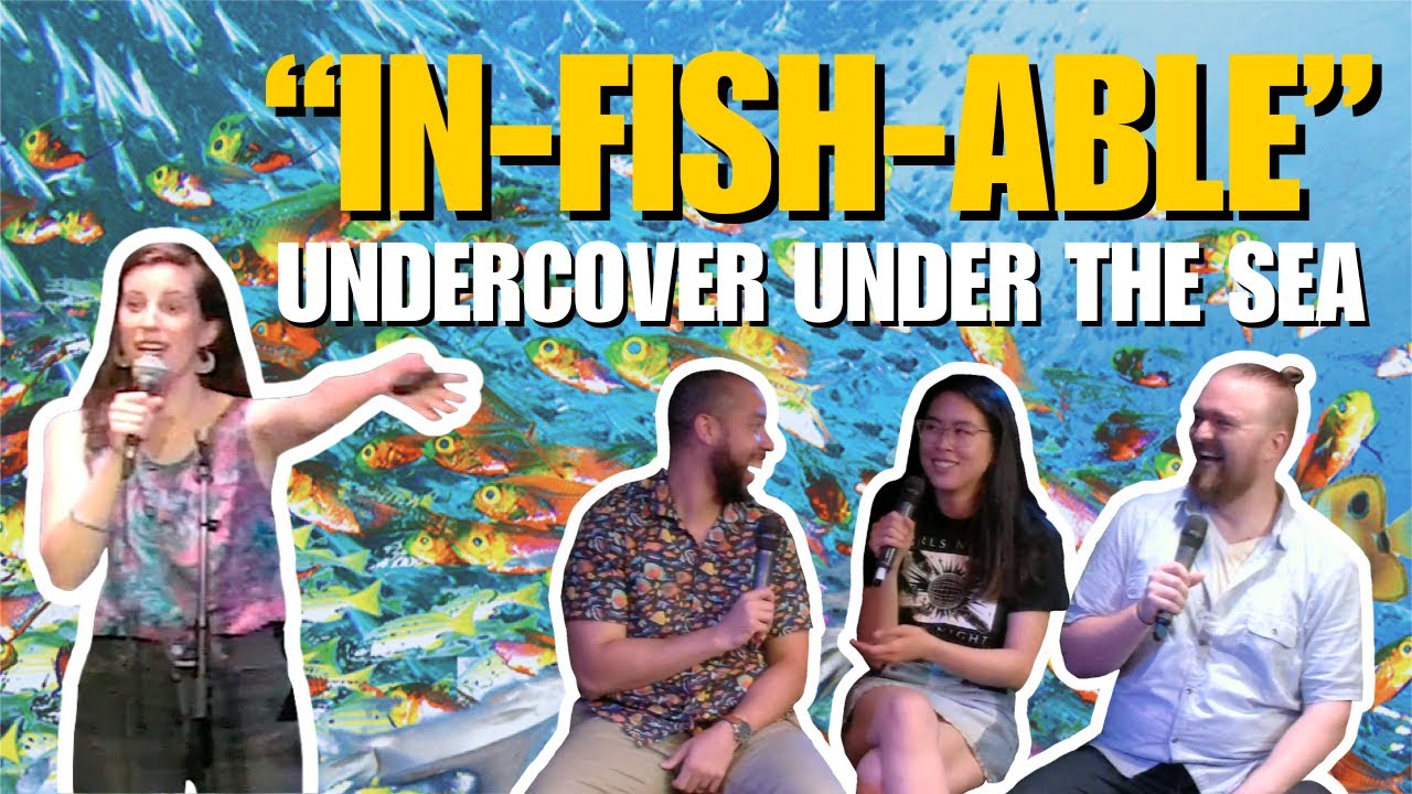 In-fish-able: undercover under the sea - YouTube
