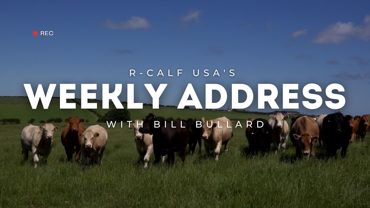 Duck! Before the Pendulum Hits You - YouTube