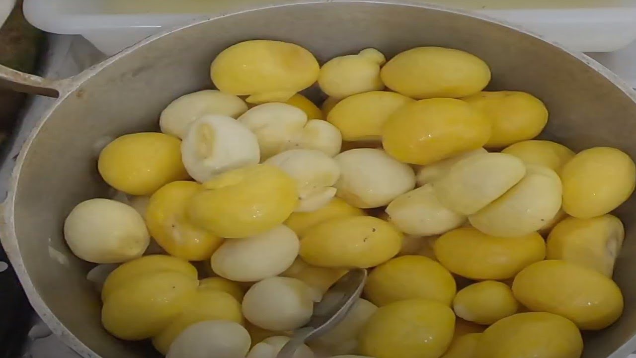 Receita Fácil: Veja como é fácil fazer o pequi ao molho - YouTube