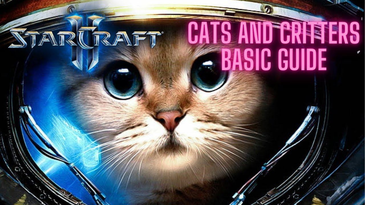 Starcraft 2 Arcade: Cats and Critters | Basic Overview for Critters ...