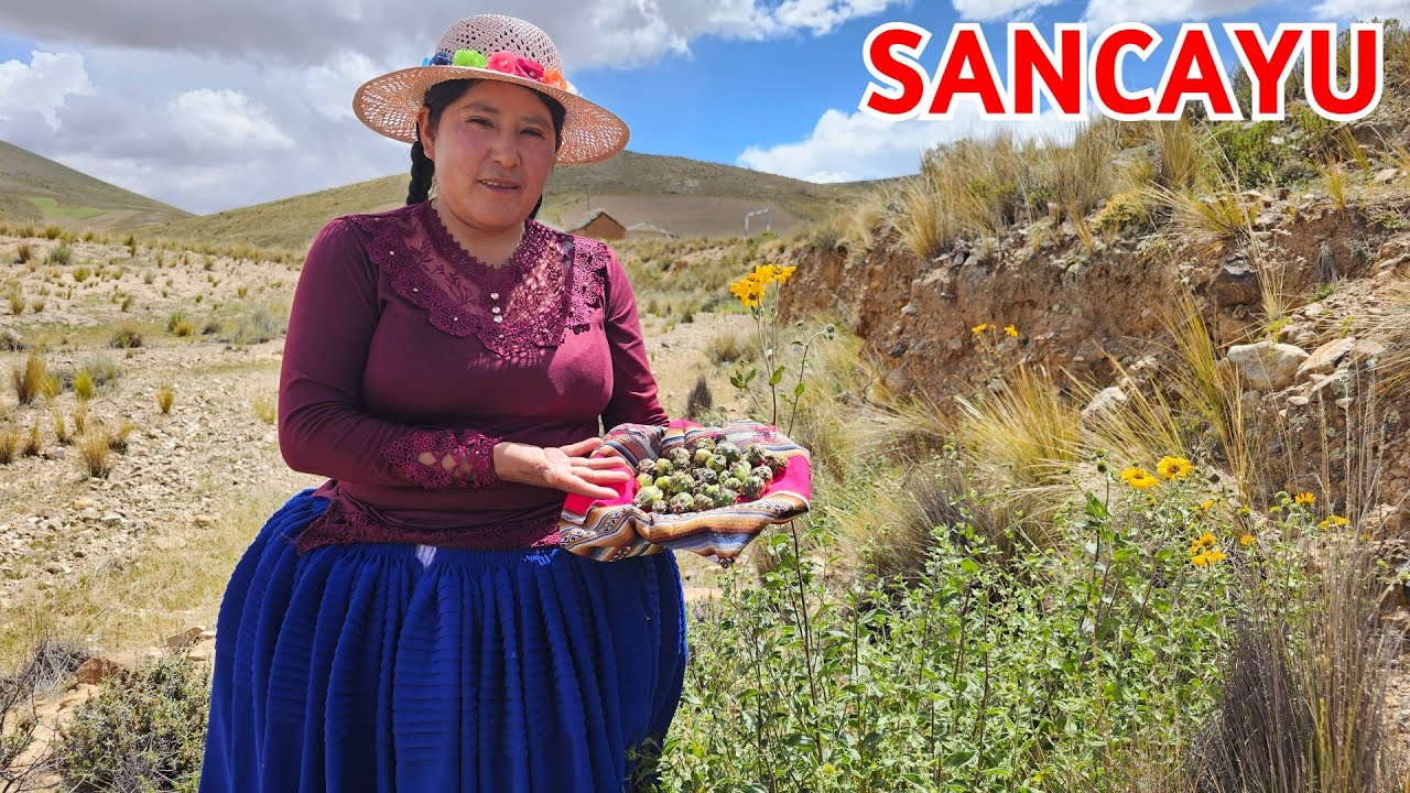 Sancayu fruta del altiplano | CHOLITA ISABEL - YouTube