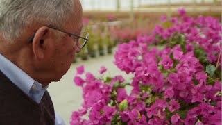Monrovia Plants | We Are Craftsmen | Gilbert